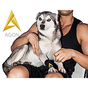 AGON® Dog Canine Front Leg Brace Paw Compression Wraps with Protects Wounds Brace Heals and Prevents Injuries and Sprains Helps with Loss of Stability Caused by Arthritis (Small/Medium)