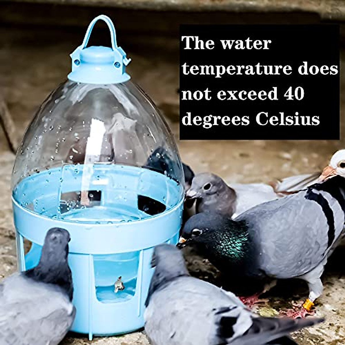 Bird Feeding Pigeons Feeder Water 4L Plastic Pet Drinker Dispenser Pot Container Birds - Automatic Feeders Water Dispenser