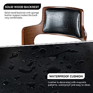 Miereirl Bar Stools 01019 Black Set of 2