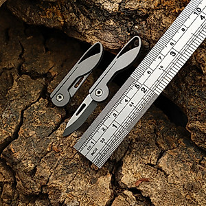 Joy-Touch Titanium Alloy Small Keychain Knife, Mini Folding Pocket Knife, EDC Box Cutter, Small Gift for Women Men (Titanium Alloy Handle/440C Steel Blade)