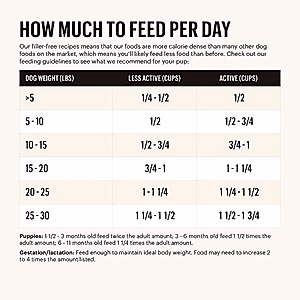 The Honest Kitchen Whole Food Clusters Small Breed Grain Free Beef Dry Dog Food, 10 lb Bag