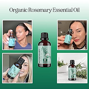 Certified Organic Rosemary Oil for Hair - Pure USDA Organic Rosemary Essential Oil for Hair Skin and Nails Plus Aromatherapy - Organic Hair Oil for Dry Scalp Treatment and Enhanced Volume and Shine