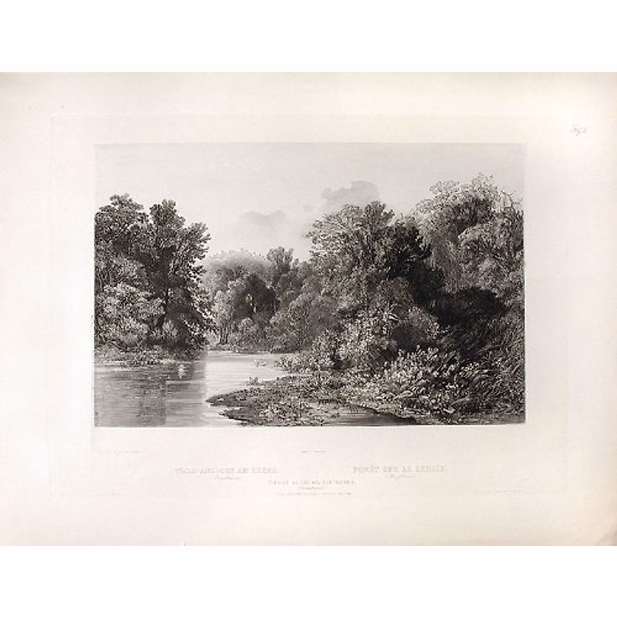 Forest Scene on the Lehigh (Pennsylvania)