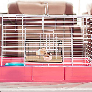 Natural Wood Stand Platform Rectangle Hamster Perch Standing Board Rat Activity Playground Cage Accessories for Rat Mice Gerbil Dwarf Hamster Squirrel Bird