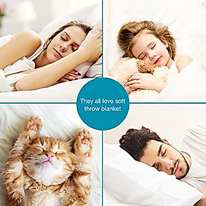 HYSEAS Flannel Fleece Throw Blanket Purple - Super Soft Plush Microfiber Solid Blanket for Couch, Bed, Chair, Sofa - Fuzzy Cozy Lightweight - 50x60 Inch