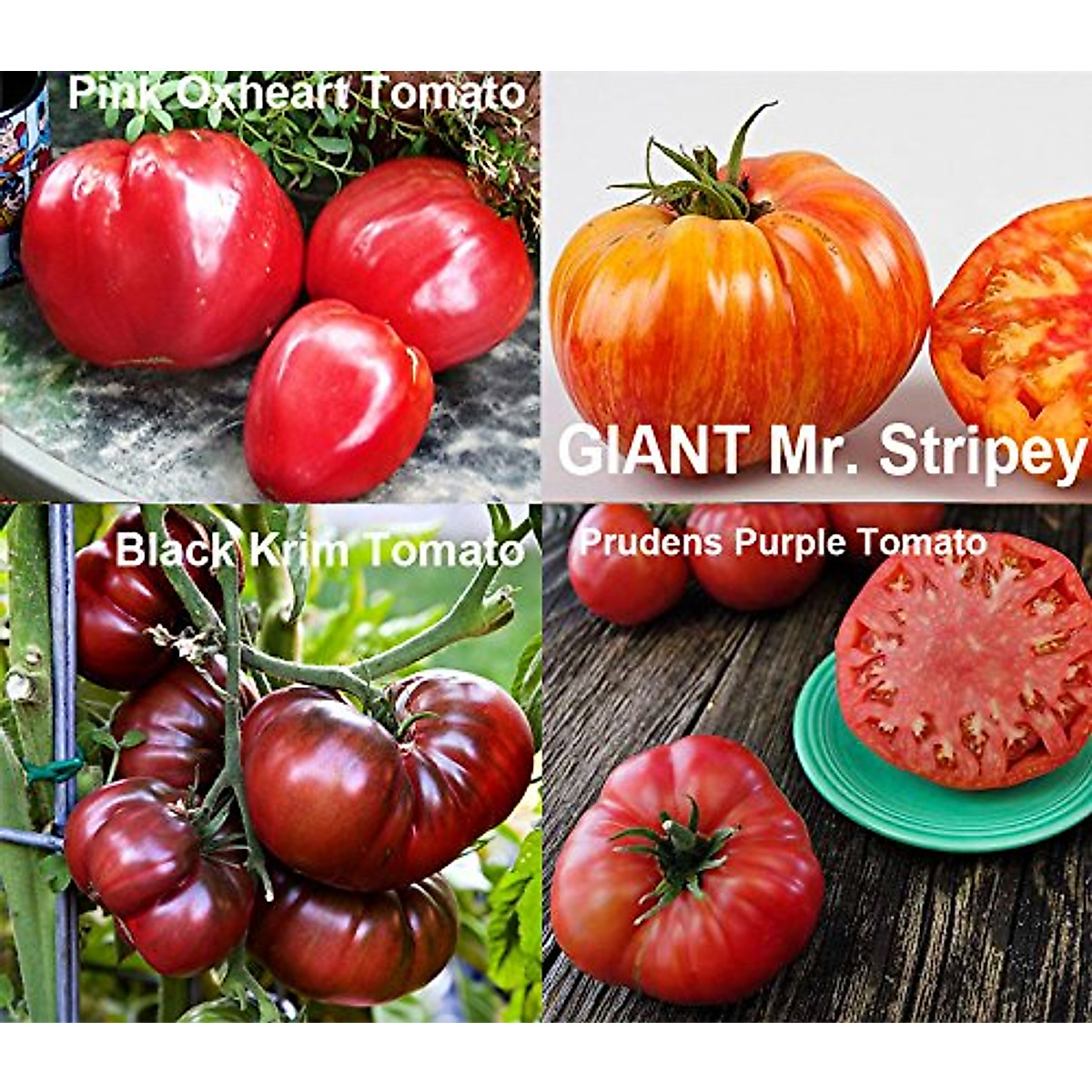 ***Mixed Seeds!!!*** This is A Mix!!! 30+ Giant Tomato Seeds, Mix of 22 Varieties, Heirloom Non-GMO, US Grown, Brandywine Black, Red, Yellow & Pink, Mr. Stripey, Old German, Black Krim, from USA