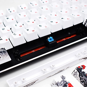 MOLGRIA Keycaps 71 Set for Gaming Mechanical Keyboard, Custom PBT OEM Profile Key caps Japanese Font with Keycap Puller for Cherry MX 71/61 60 Percent Keyboard(Plum Blossom)
