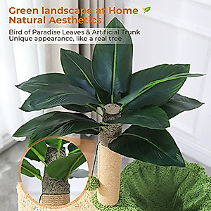 MSmask Cat Tree with Square Condo, Artificial Palm Tree Cat Tower with Sisal Scratching Post, Hammock, Plush Platform, Climbing Nature Cat Tree for Indoor Cats