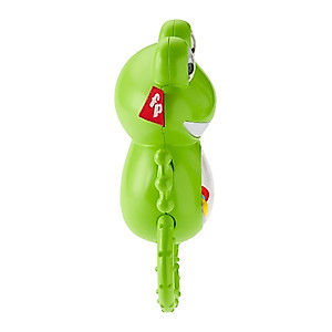 Fisher-Price Shake n Rattle Frog Green 3M+