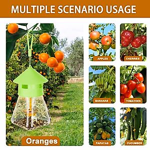 Moskiller Outdoor Fruit Trees and Melon Vines Fly Traps with Natural Fruit Fly Bait Refill,Reusable Fruit Flies Trap Jar for Fruit and Vegetable Garden (Green)