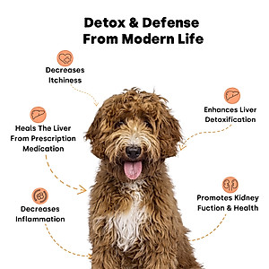 Kayode Dog Detox - Dog Liver Supplement & Immune Defense. with Milk Thistle for Dogs. Help Detoxify Liver, Reduce Inflammation & Improve Gut Health. 1 BIl CFU Probiotics, Omega Oil, & Bee Pollen.