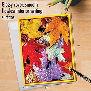 NobleWorks Jumbo Blank All Occasions Greeting Card 8.5 x 11 Inch with Envelope (1 Pack) Big, Jumbo Blank All Occasions Lavish Leaves - Maple J7177JOCB