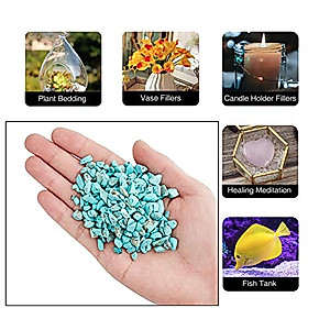 AHANDMAKER Natural Turquoise Chip Beads, 2/3 Pound Polished Tumbled Gemstone Chips Undrilled Crystals for Decoration