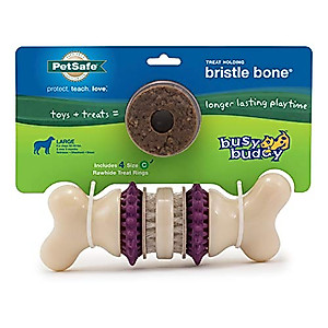 PetSafe Busy Buddy Bristle Bone - Treat-Holding Toy for Dogs - Treat Rings Included - Treats Thoroughly Mixed During Bake to Prevent Choking - Rigorously Tested Ingredients - Purple, Medium