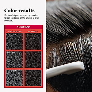 Just For Men Easy Comb-In Color Mens Hair Dye, Easy No Mix Application with Comb Applicator - Jet Black, A-60, Pack of 1