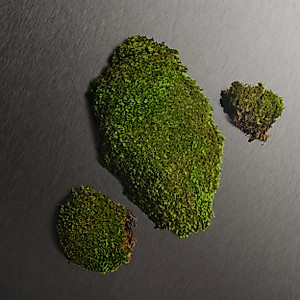 Calvin Klein Eternity Alcohol Free Deodorant Stick for Men, 2.6 Ounce