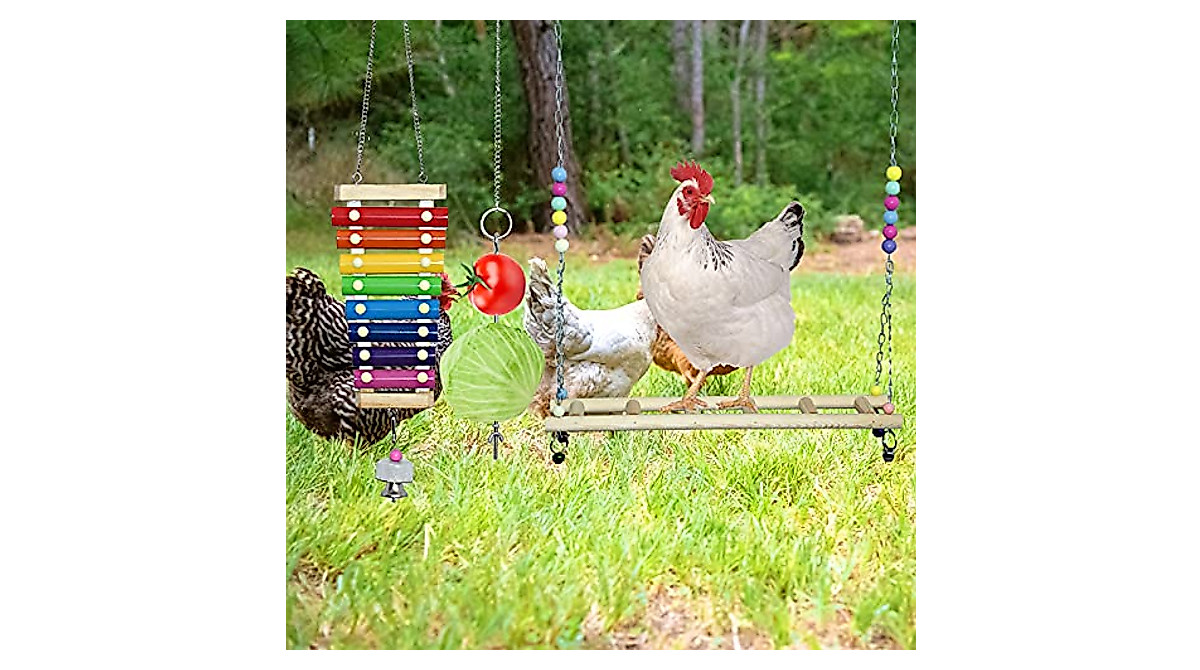 WDSHCR Chicken Toys Xylophone & Feeder Pack for Hen Coop