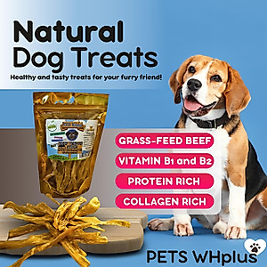 PETS WHplus Beef Tendon Sticks for Dogs,100% Natural Dog Treats, 4 oz (113g) Pack, Chews for Dogs, Mixed Lenght Varies 4-7 inches, Grass -Feed Beef-Dental Dog Chews, High in Protein & Collagen.
