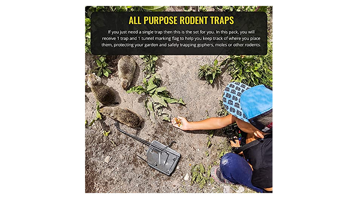 Cinch Gopher Trap Kit - Small (1 Pack ) Heavy Duty, Reusable Rodent ...