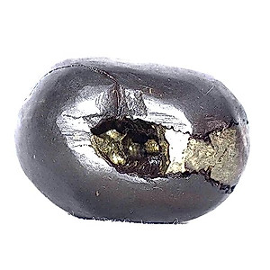 Rudrakshguru Laxmi Narsimha Shaligram