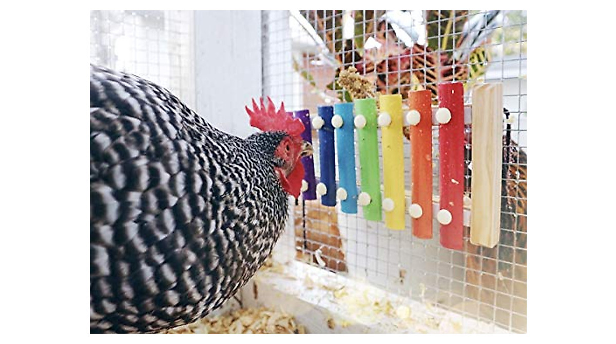 Vehomy Chicken Xylophone Toy - Fun Pecking For Hens