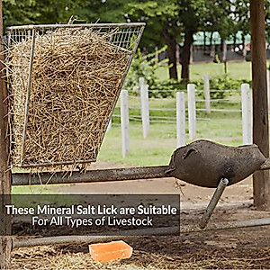 Himalayan Nature Horse Licking Salt, Animal Licking Mineral Salt Brick - 5 Lbs