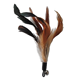 EcoCity Cat Toys - No Chemical Dyeing Cat Feather Toys for Indoor Cats - Include Cat Wand and Natural Feather Refills