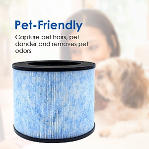 Flintar F100 H13 True HEPA Replacement Filter, Compatible with Instant AP100 Air Purifier, 3-in-1 H13 Grade True HEPA Filter, Part# F100, 2-Pack