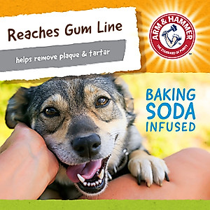 Arm & Hammer for Pets Nubbies Duality Bone Dental Dog Toy- Best Dog Chew Toy for Moderate Chewers- Dog Dental Toy Helps Reduce Plaque & Tartar- Green Apple Flavor Baking Soda (Pack of 1)