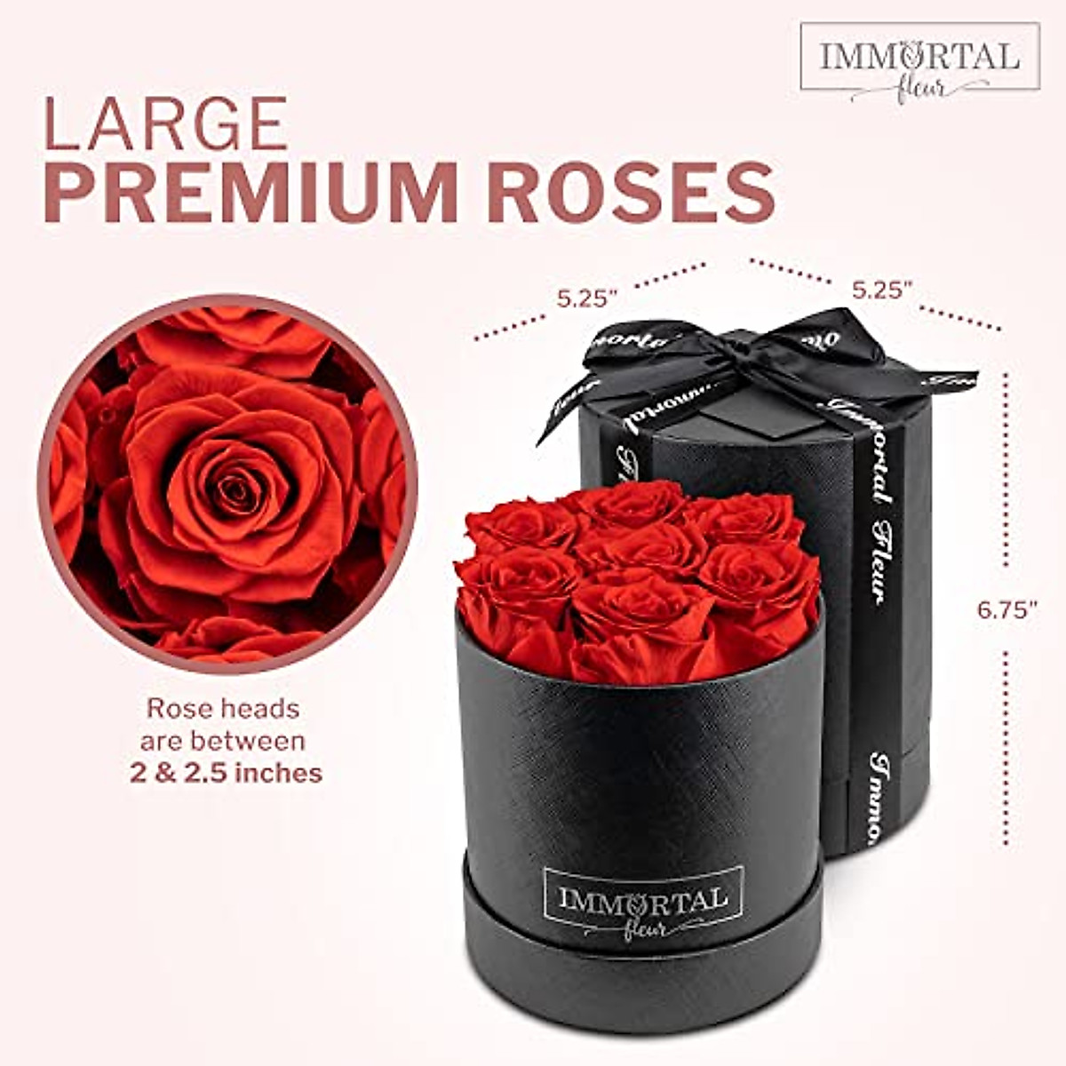 Immortal Fleur Preserved Roses In A Box | Real Preserved Flowers | Unique Real Roses for Delivery Prime | Forever Roses Box | Fresh Flowers for Delivery Prime Next Day | Mom Birthday Gifts from Daughter | Sympathy Flowers for Delivery Prime Birthday