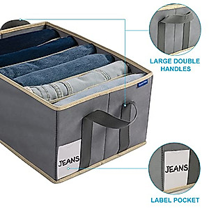 roomtalk Wardrobe Clothes Organizer for Jeans & Pants 6-Grids, Clothes Organizer for Folded Clothes with Double Handles & Label Pocket, 11.8" W x 16.5" D x 7.9" H, 2 Pack Grey.