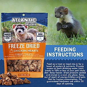 Freeze Dried Small Pet Treats - 1oz Resealable Bag of Treats for Ferrets - Ferret Snacks - Single Ingredient Ferret Food With No Preservatives Or Fillers- Small Animals Treats (1 oz, Chicken Heart)