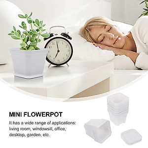 10pcs Flowerpots Saucers Cuttings Starting Seeding Plant Black Desktop Little Decor Room for Seeds Tray Flowerpot Drainage Vegetables Bonsai Containers Ith Seedlings Plastic