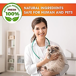 Parenda Cat Flea Collars 13 Inches - Flea Collars for Cats Fit Flea Treatment for Cats Lasting 12 Months - Waterproof Cat Flea Collar - Cat Flea Treatment 100% Natural Ingredients