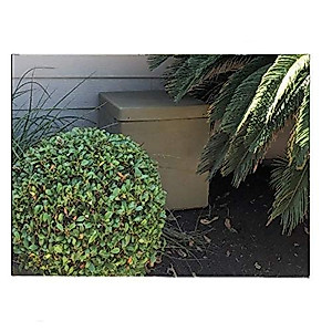 Mosquito Misting System Pynamite Bluetooth app & 30 Nozzle Kit