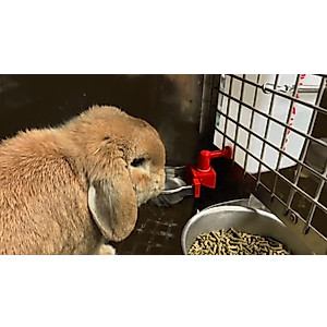 No-Drip 32oz Small Animal Drinking Bottle with Auto-Fill Metal Cup for Small Pet/Bunny/Ferret/Hamster/Guinea Pig/Rabbit/Chinchilla/Mouse/Rat. Food Grade Plastic (32oz)