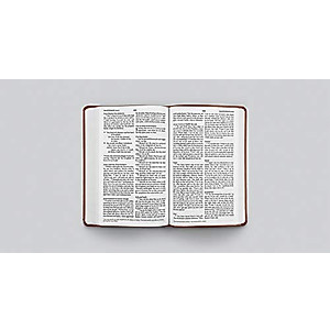 ESV Large Print Value Thinline Bible (TruTone, Tan, Ornament Design)