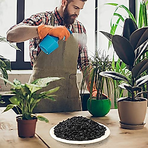 YeeSite 1 Quart Sized Bag 100% All Natural Hardwood Charcoal- Activated Plant Charcoal for Soil Amendment, Orchids, Terrariums, Planting, Garden