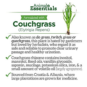 Animal Essentials Tinkle Tonic Herbal Formula for Healthy Urinary Tract in Dogs & Cats, 1 fl oz - Made in the USA, Alcohol Free