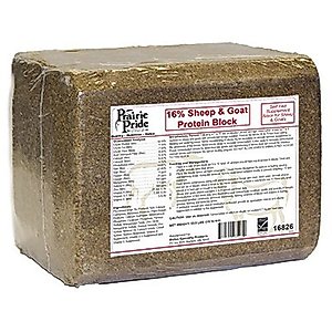RIDLEY 16826 33LB Sheep/Goat Block