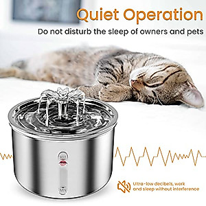 PtPMPUS Cat Water Fountain Stainless Steel Pet Fountain 2L/67oz Dog Water Bowl Dispenser Automatic Water Dispenser for Dogs Ultra-Quiet Water Fountain for Cats Inside