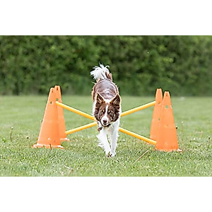 TRIXIE Dog Agility Hurdle Cone Set, Portable Canine Agility Training Set, 6 Exercise Cones with 3 Agility Rods