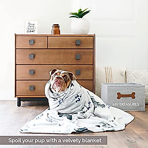 BULLTUG - Dog Toy Bin and Ultra-Soft Dog Blanket (2pc Set) - Rectangular Toy Storage Basket and Premium Plush Throw
