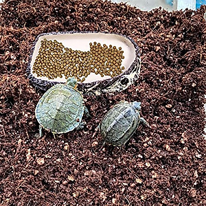 Tfwadmx Reptile Water Bowl Reptile Rock Food Dish Reptile Feeder Food and Water Feeding Bowl for Lizard Bearded Dragon Turtle Frog Leopard Gecko Snake Chameleon