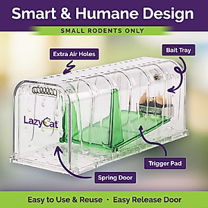 Humane Mouse Trap & Mouse Repellent Kit; Live Mouse Trap Catch and Release Kid Safe & Pet Safe Easy Set for Small Rodents Sensitive Trigger Plus Peppermint Oil Mice Repellent Spray – Reusable Indoor