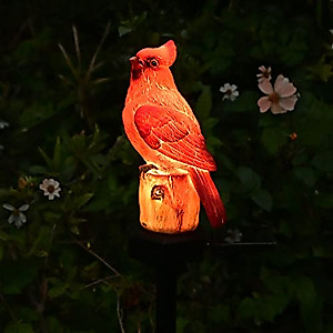 Juliahestia Cardinal Garden Decor Bird Figurine Solar Light Outdoor Stake Patio Yard Lawn Porch Cute Pathway Christmas Decorations Outside Gift Red