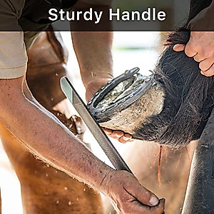 Elesunory Horseshoe File 14 Inches, Horse Rasp and File with Handle for Horse Hoofs, Hoof Trimming Tool for Repairing Horse Goat Pig Hooves