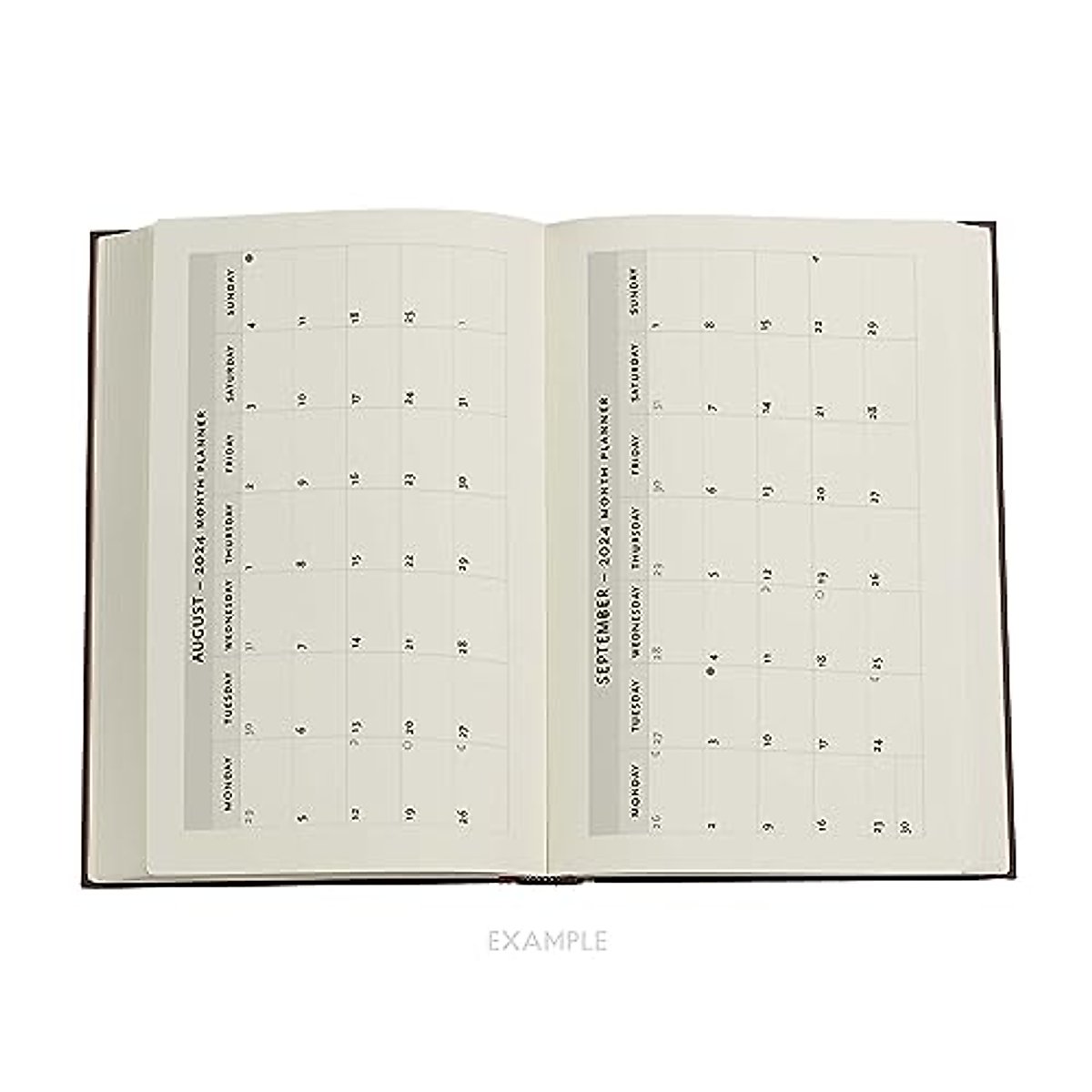 Firebird (Birds of Happiness) Maxi 12-month Dayplanner 2024