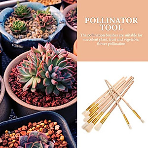 Yardwe 8pcs Pollination Brush Vegetable Pollinator Brush Round Paint Brush Pollen Sprayer Brush Garden Fruit Pollinator