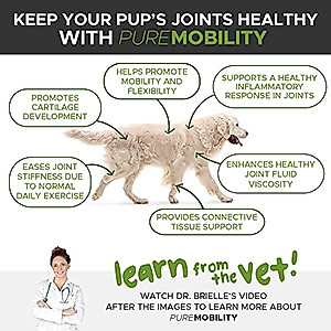 Pet Honesty PureMobility Glucosamine for Dogs - Premium Dog Joint Supplement Support with Glucosamine, Green-Lipped Mussel, Collagen & Turmeric - Advanced Hip & Joint Chews & Pet Joint Support - 60ct